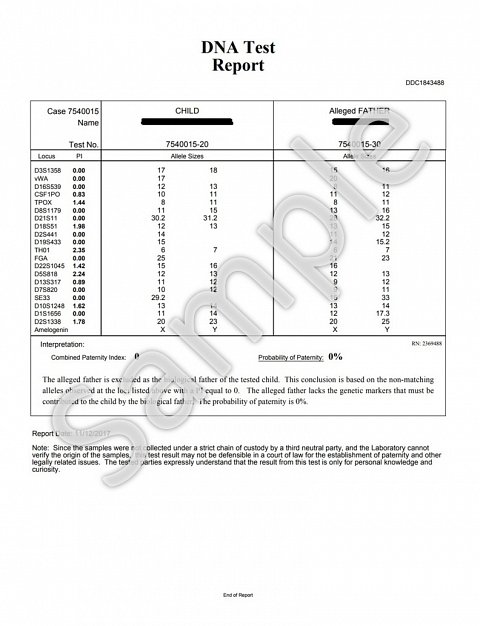 Positive Fake Paternity Test Results Template Portal Tutorials