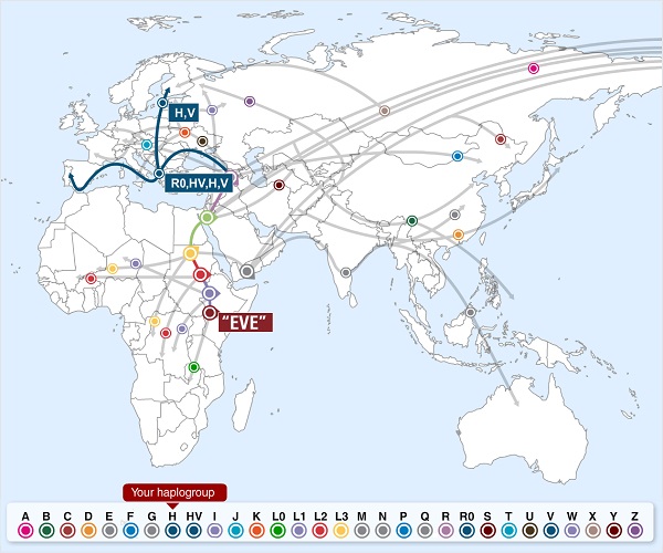 Family Tree DNA Reviews - DNA Testing Choice