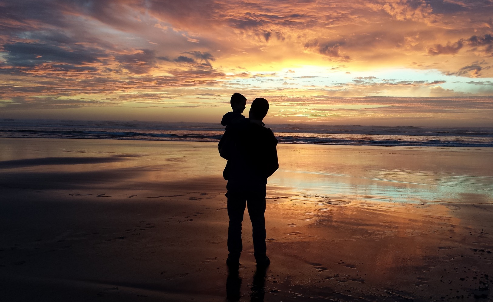 DNA Diagnostics Center Paternity Testing Reviews DNA Testing Choice